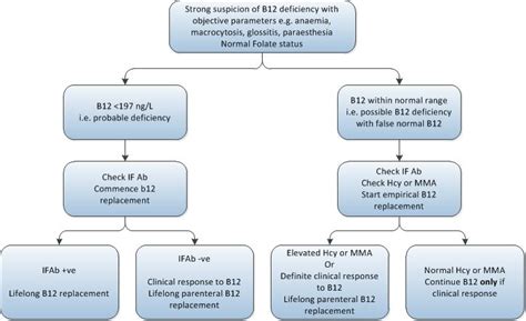 Investigation And Management Of Vitamin B12 And Folate Deficiency