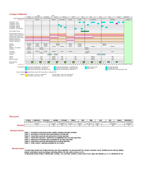 An Example Of A Macrocycle Mesocycle Pdf Flexibility Anatomy