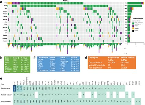Analysis Of Co Occurrence And Exclusivity Of Cancer Gene Mutations