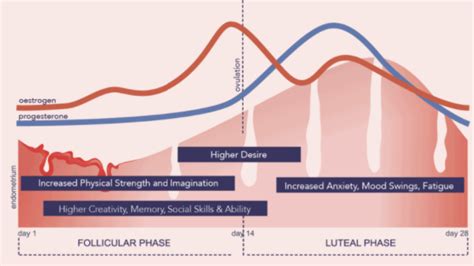 Women Hormones And Anxiety