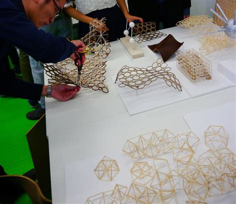 Model Outputs Of Morphogenetic Design Component Download Scientific Diagram