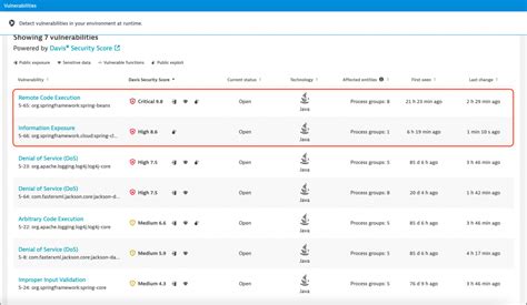 Spring Shell Detect And Mitigate Vulnerabilities In Spring