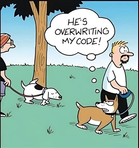 Harikrishnan Vrindavanam Hari On Linkedin Softwareengineering Codewars Collaboration