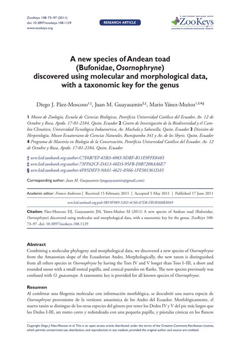 Pdf A New Species Of Andean Toad Bufonidae Osornophryne Discovered