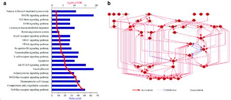 Pathway Analysis Of Atherosclerosis Related Genes A Enrichment Download Scientific Diagram