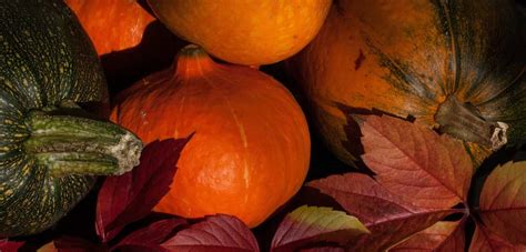 Κόκκινη κολοκύθα ελculture Θέατρο Μουσική Τέχνη And Πολιτισμός