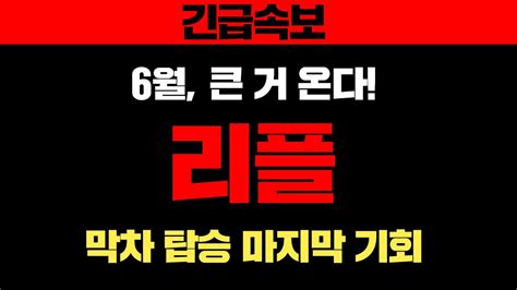 긴급속보6월 큰 거 온다리플막차 탑승 마지막 기회 리플전망 리플코인 Youtube