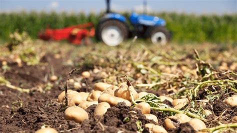 Investment Opportunities In Cold Chain Solutions Transforming Agro