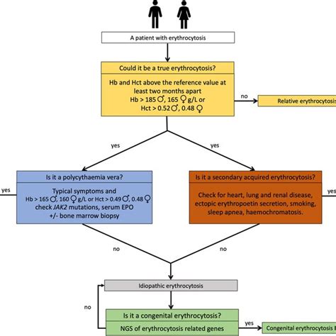 Simple Three Step Clinical Algorithm For The Diagnosis Of Patients With