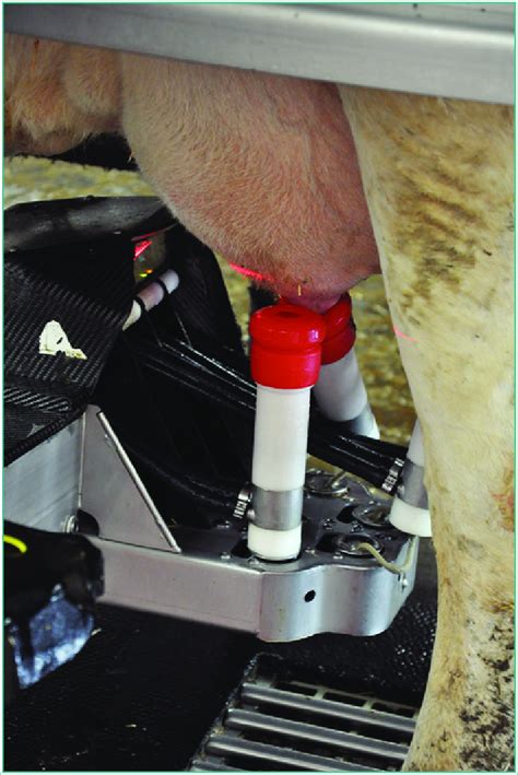 Robotic Milking System Download Scientific Diagram
