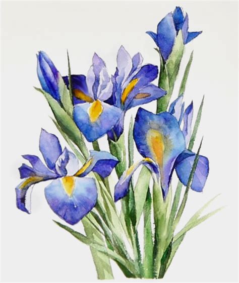 Namil Art 기초 꽃 수채화 붓꽃 아이리스 스케치 And 칼라 혼합 보기 아르쉬 황목 남일수채화 Basic Flower Watercolor Iris