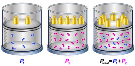 Henrys Law Gas Solubility Quiz Quiz Flashcards And Trivia