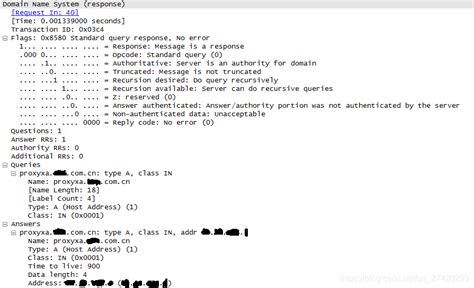dns报文抓包分析 dns抓包分析 csdn博客