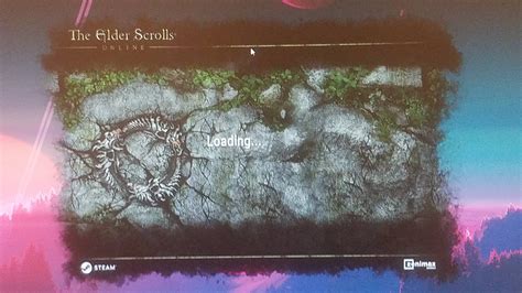 Long Loading Times Elderscrollsonline