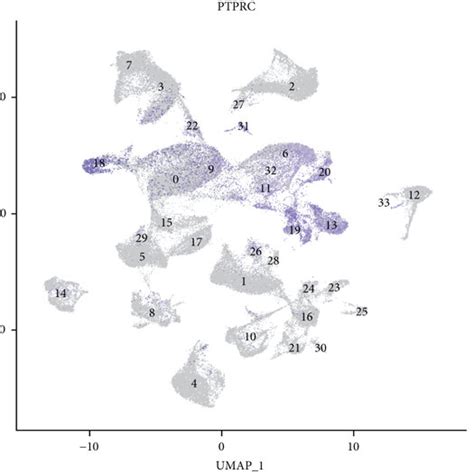 Identification Of Cell Types In Os Scrna Seq Sample A Umap Plot Of Download Scientific