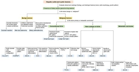 Recent Advances In Pathology Of Intrahepatic Cholangiocarcinoma