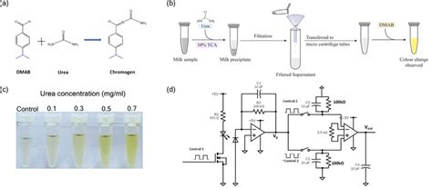 a chemical reaction between dmab and urea b illustration of sample