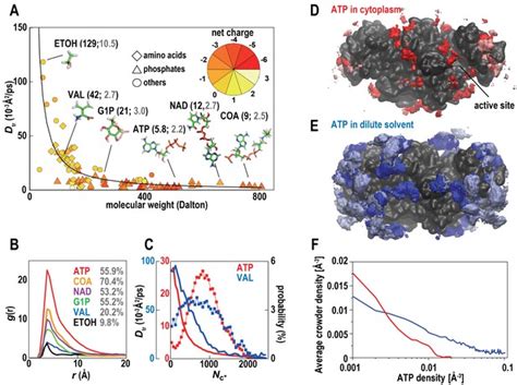 Figures And Data In Biomolecular Interactions Modulate Macromolecular Structure And Dynamics In