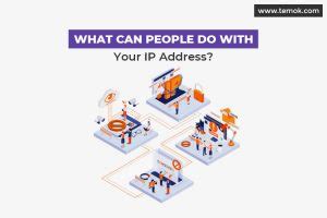 What Can Someone Do With Your IP Address And How To Prevent Temok Hosting Blog