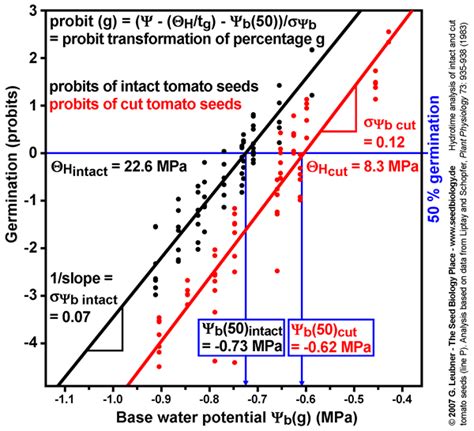 The Seed Biology Place Seed Water Relations