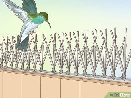 Ways To Protect Your Garden From Birds WikiHow Life