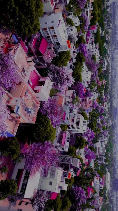 arup basak posted on linkedin