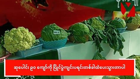 ဟင်းသီးဟင်းရွက်သစ်သီးဝလံနှင့်ပန်းမန်ပြပွဲပြိုင်ပွဲ၌ ပြခန်းပေါင်း၃၀ကျော် ပါဝင်ပြသ Youtube