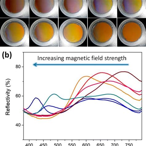Photonic Crystals Behavior Of Magnetitepolystyrene Colloids In Download Scientific Diagram
