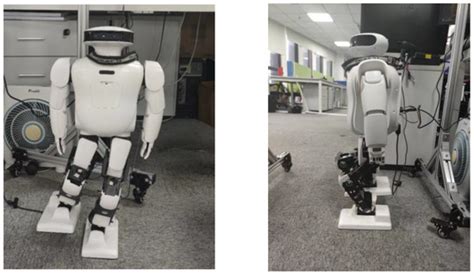 A Spring Compensation Method For A Low Cost Biped Robot Based On Whole