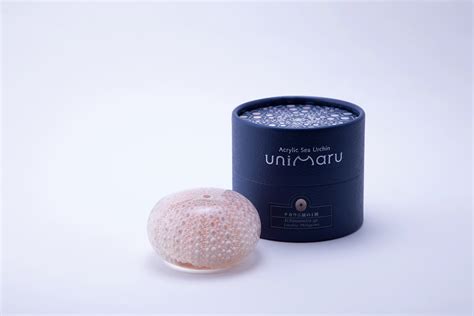 Unimaru Pictures 株式会社ウサギノネドコ Unimaru Pictures 株式会社ウサギノネドコ