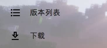 HMCL启动器安装配置 Windows ZiwenJ 博客园