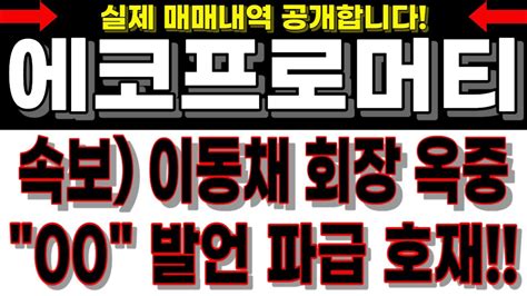 에코프로머티 속보 이동채 회장 발언 파급효과 에코프로머티 에코프로머티리얼즈 에코프로머티주가전망 에코프로머티분석 Youtube