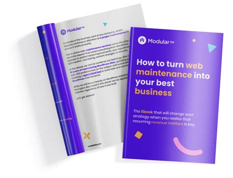 Website Maintenance Toolkit Modular Ds