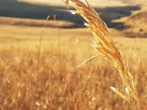 Гэр бүл Гэр бүл хөдөлмөр нийгмийн хамгааллын яам