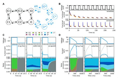 A The Six State Model By Li Et Al 2016 In Black And Its Download Scientific Diagram
