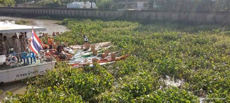 พายเรือเพื่อบางปะกง วันที่ 5 บางปะกง สายน้ำแห่งชีวิต
