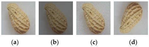 Method Of Peanut Pod Quality Detection Based On Improved Resnet
