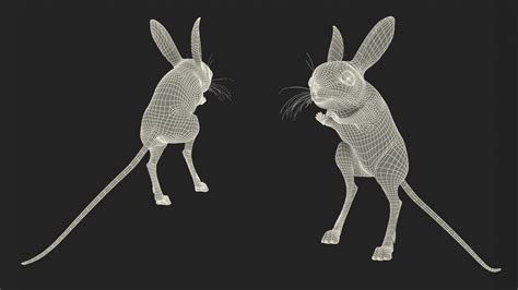 Jumping Jerboa Fur 3d Turbosquid 2197353