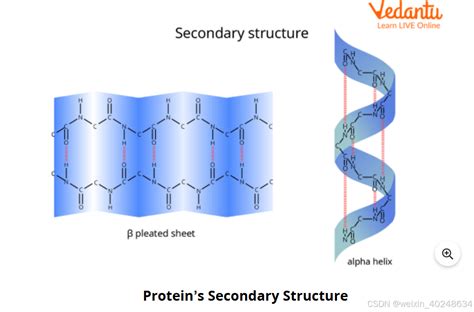 蛋白质二级结构 Beta Sheet Alpha Helix如何从图像上辨别alpha Helix和beta Sheet Csdn博客
