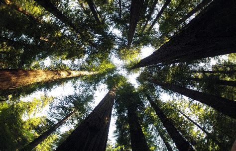 Environmental Evaluation Modeling System Eems Use Cases Data Basin