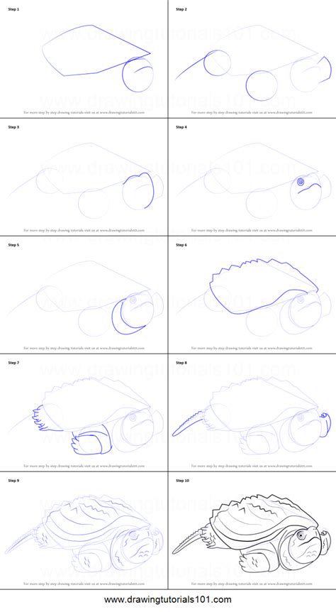 Snapping Turtle Drawing At PaintingValley Com Explore Collection Of Snapping Turtle Drawing
