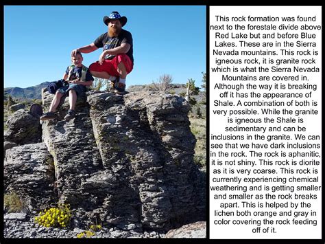 Field Assignment Pdf