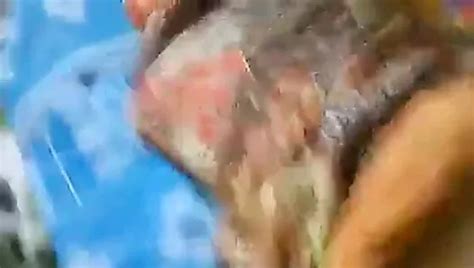 Selingkuh Dengan Istri Tetangga Saat Suaminya Kerja XHamster