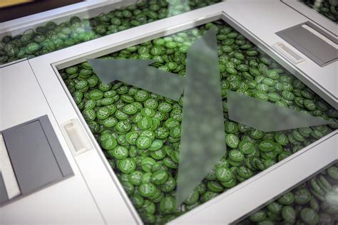 从小白到大神，美国海淘球鞋指南，stockx绿叉篇，完整使用指南 知乎