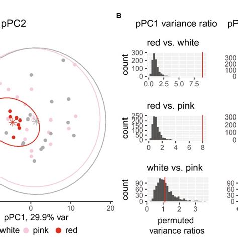 A Phylogenetic Pca Ppca Of Floral Morphological Trait Variation Download Scientific