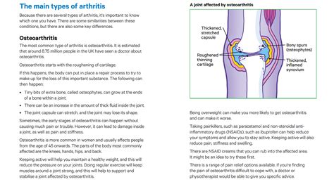 Building Qwen 06b From Scratch A Journey Into Llm Architecture And Pre Training Logic By