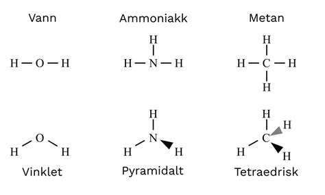 Kovalent Binding Store Norske Leksikon