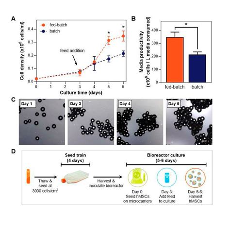 Roosterbio Inc On Linkedin Bioreactor Parameters For Microcarrier
