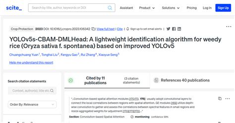 Yolov5s Cbam Dmlhead A Lightweight Identification Algorithm For Weedy