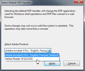Bit Delphi Applications Using Twebbrowser To Display Pdf Documents